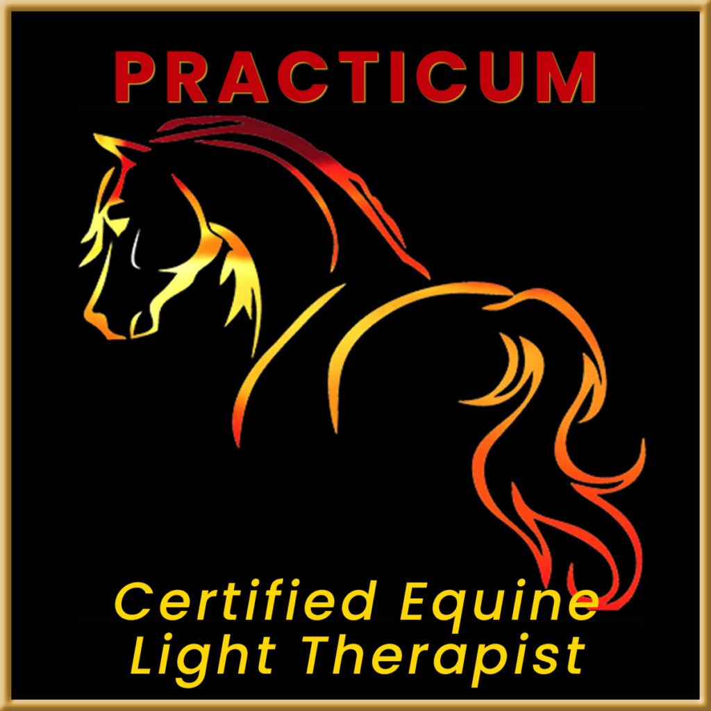 The Photonic Horse Practicum – Members – Photonic Therapy Institute