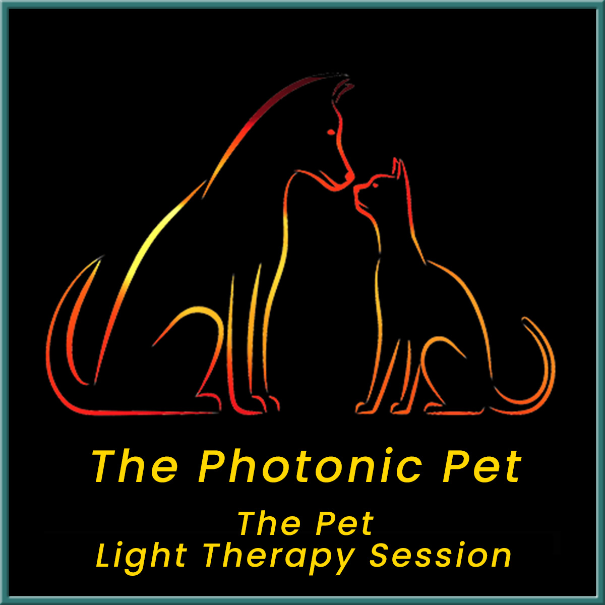 The Pet Light Therapy Session – Members – Photonic Therapy Institute