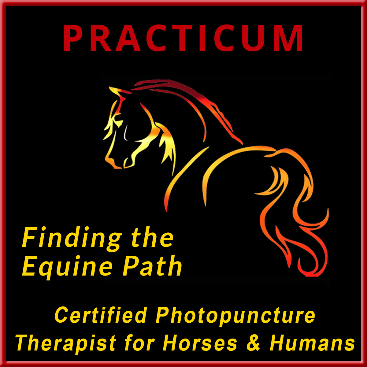 Finding The Equine Path: Practicum – Members – Photonic Therapy Institute