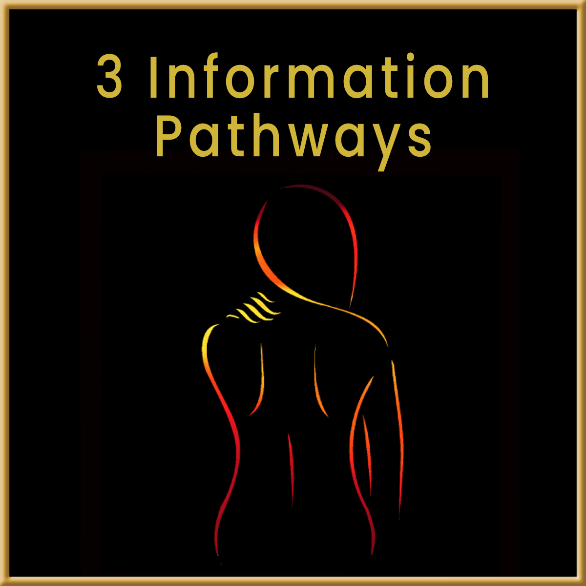 3 Information Pathways Members Photonic Therapy Institute